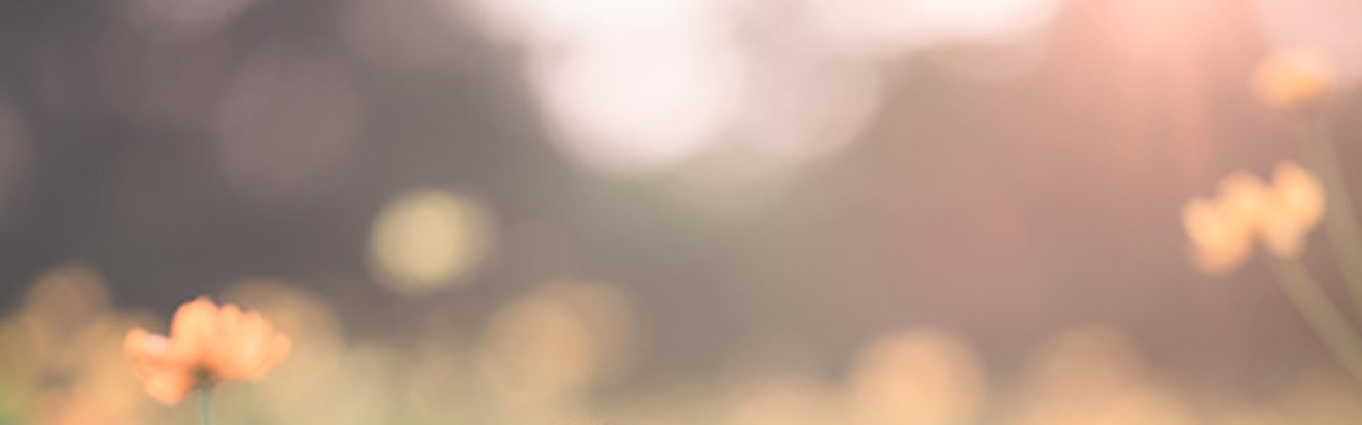 Blog | Latest Law News | Hugh James | Top 100 UK Law Firm